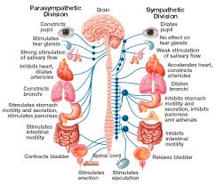 Multiple system atrophy